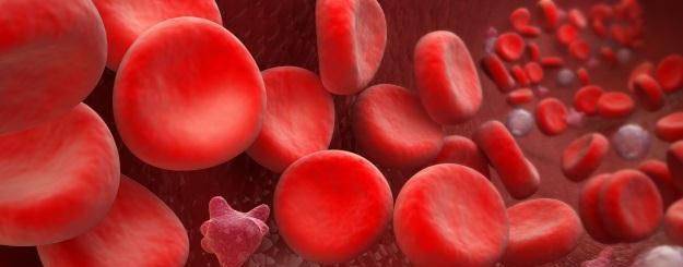 RCKiK w Rzeszowie / Krew i jej składniki